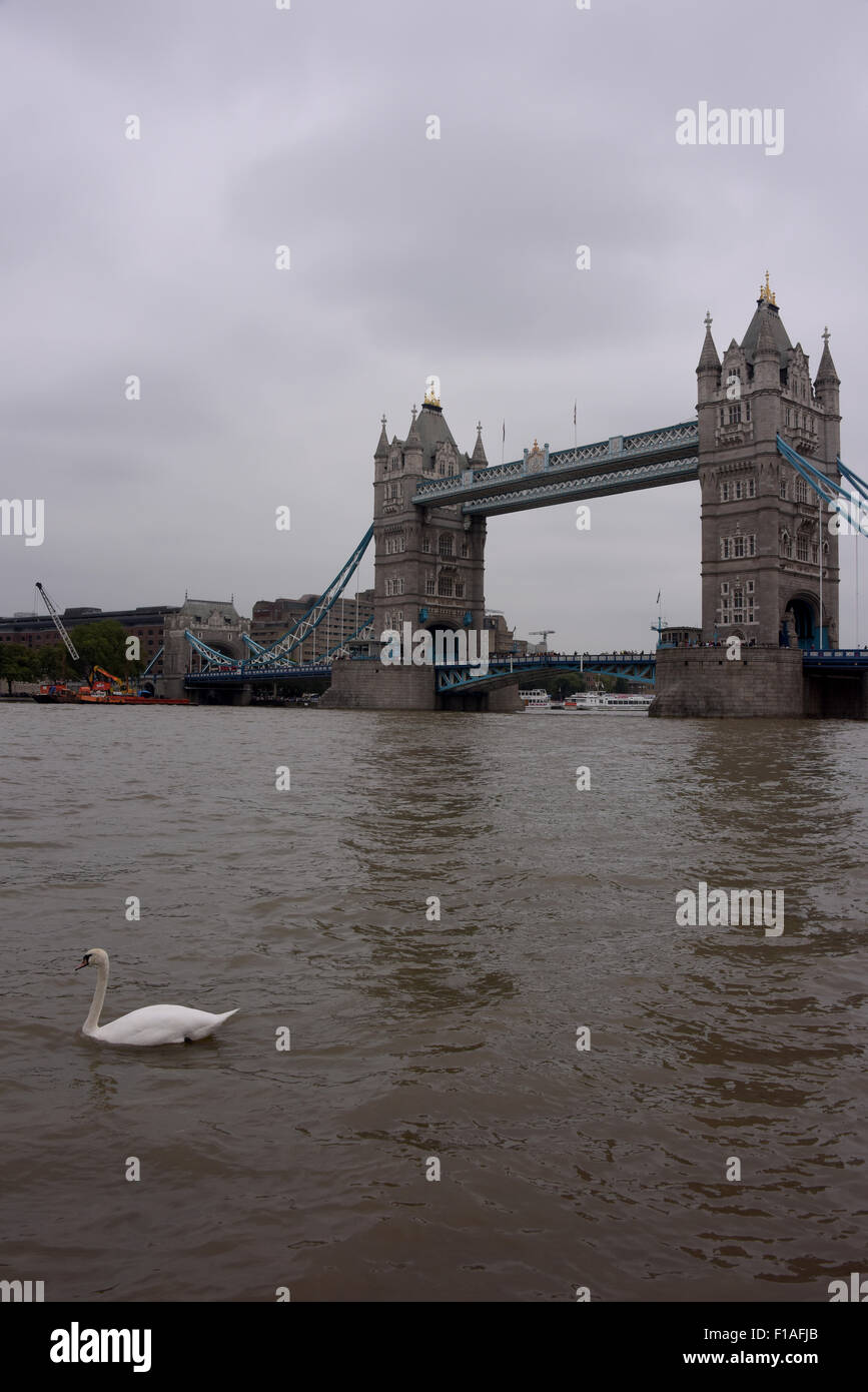 The swan bridge hi-res stock photography and images - Alamy