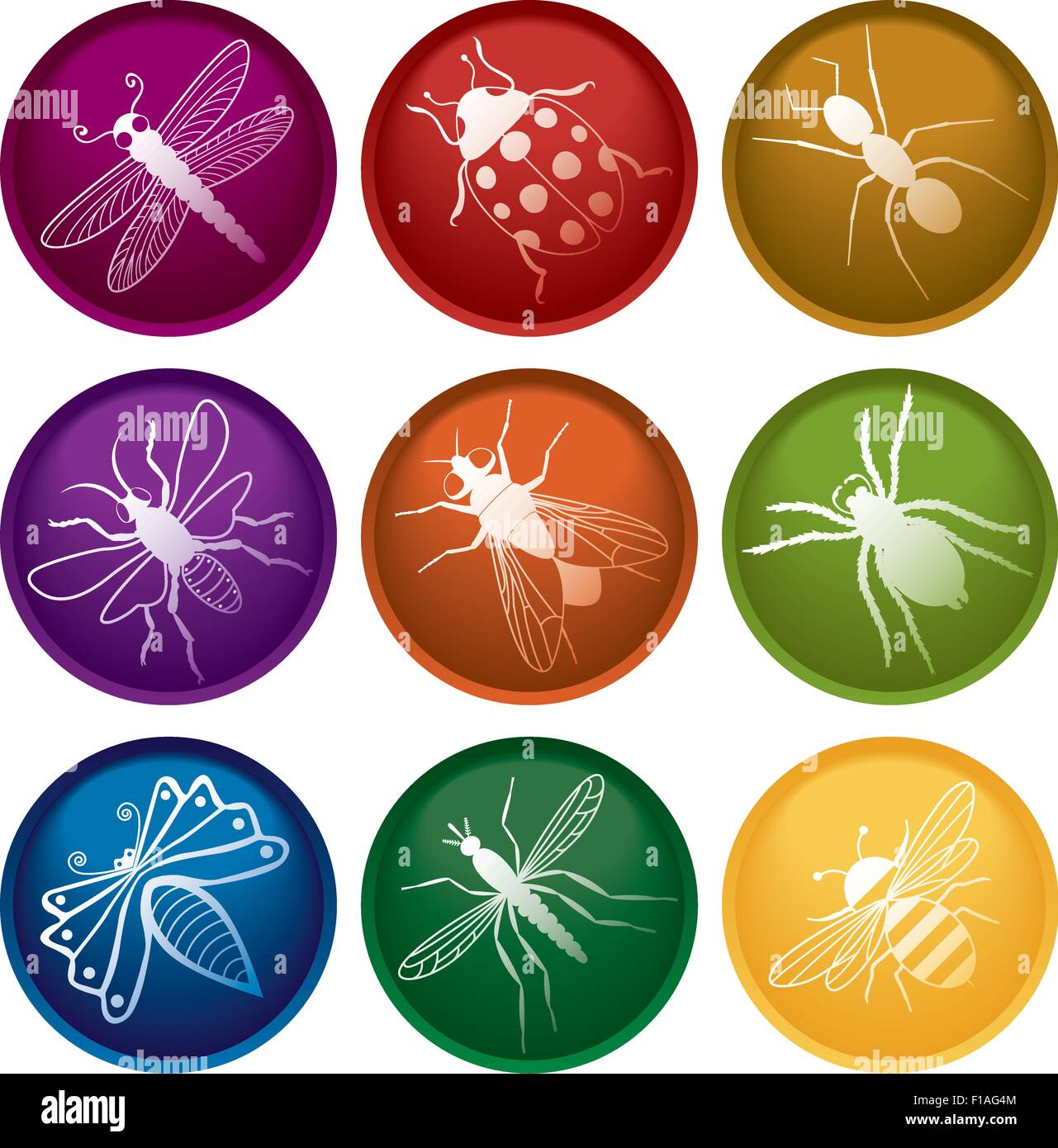 Nine Colorful Bug Buttons Stock Vector Image & Art - Alamy