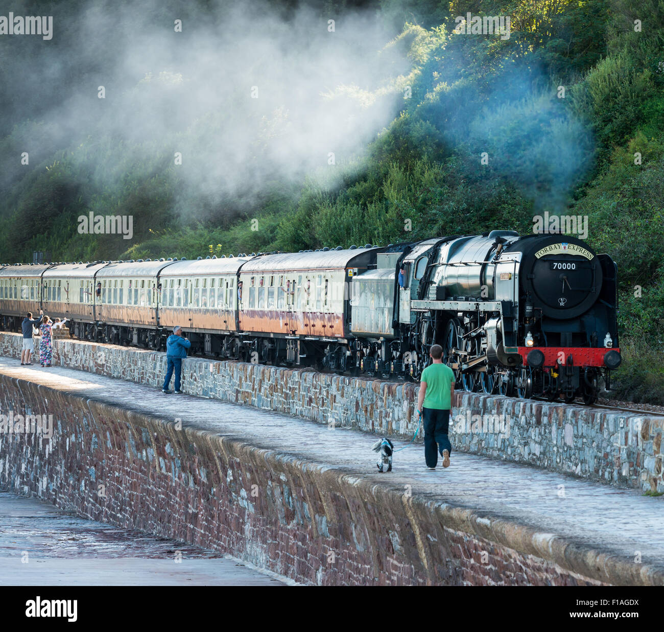 The Torbay Express steam train moves along the Brunel coastal line at ...