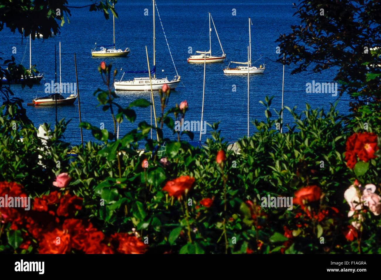 Southend cliff gardens hi-res stock photography and images - Alamy