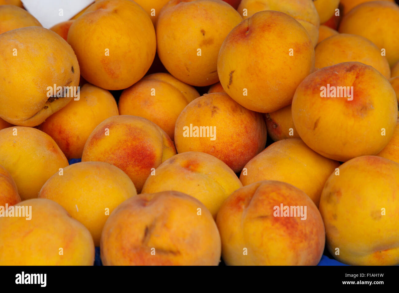 Close up view of apricots from a market Stock Photo - Alamy