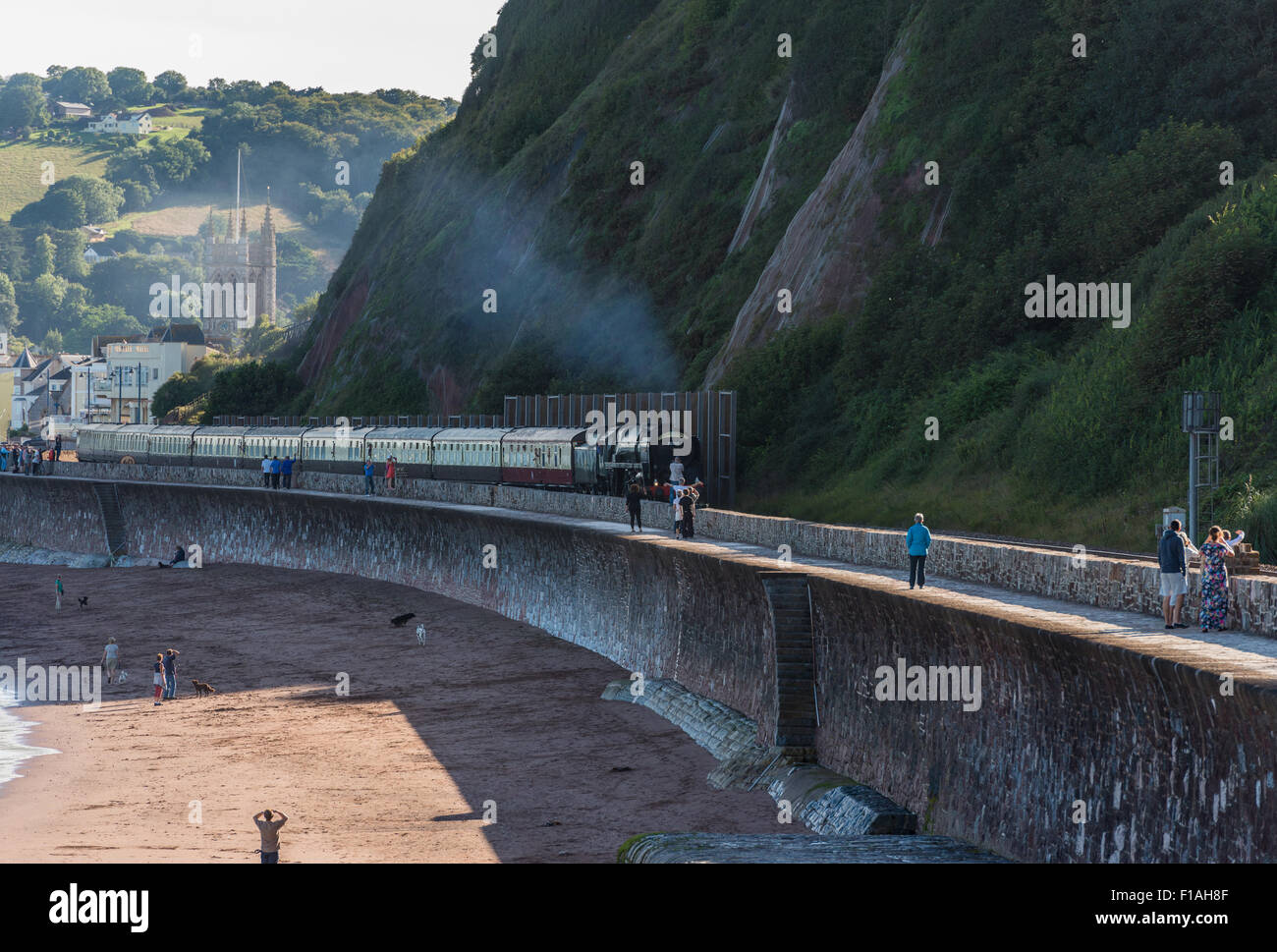 The Torbay Express steam train moves along the Brunel coastal line at ...