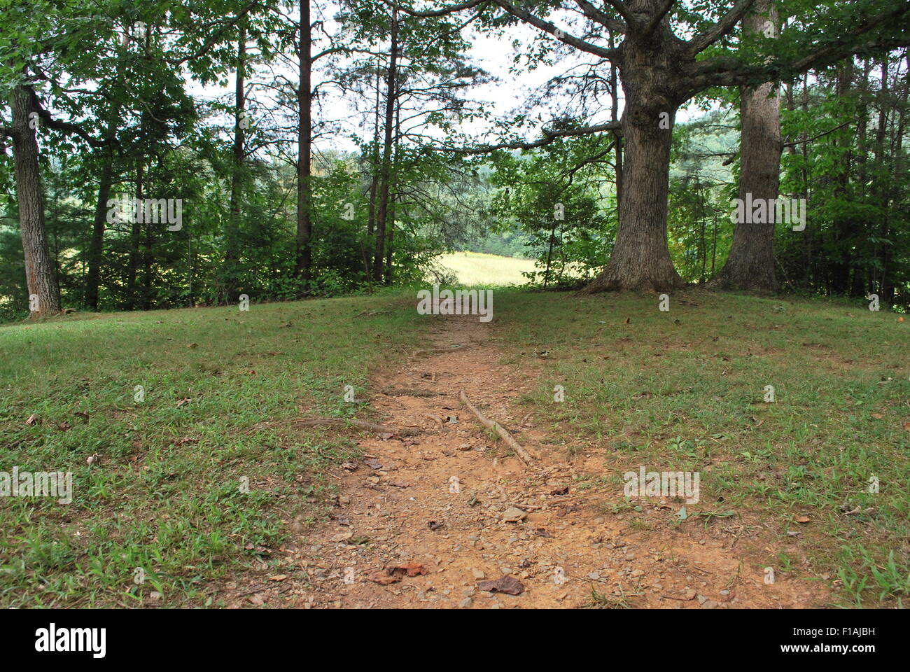 Open trail hi-res stock photography and images - Alamy