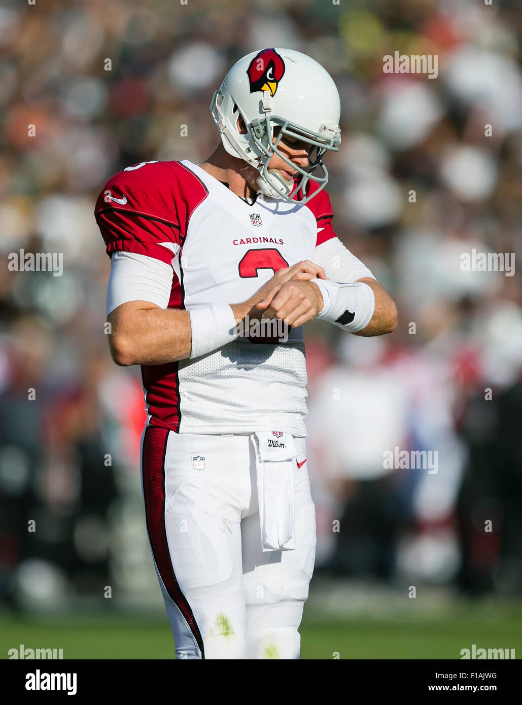 Carson palmer hi-res stock photography and images - Alamy