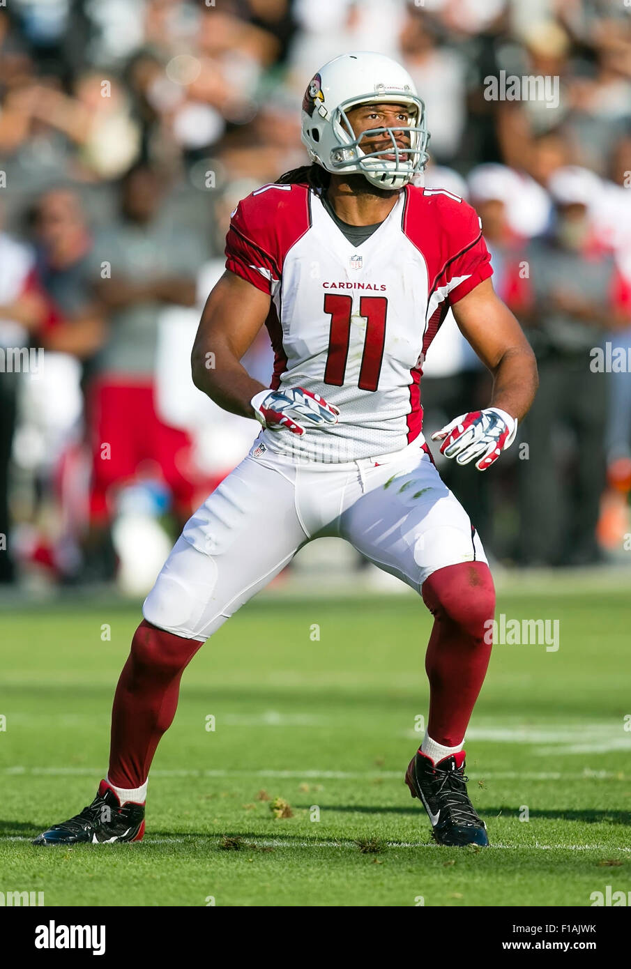 Larry fitzgerald cardinals hi-res stock photography and images - Alamy