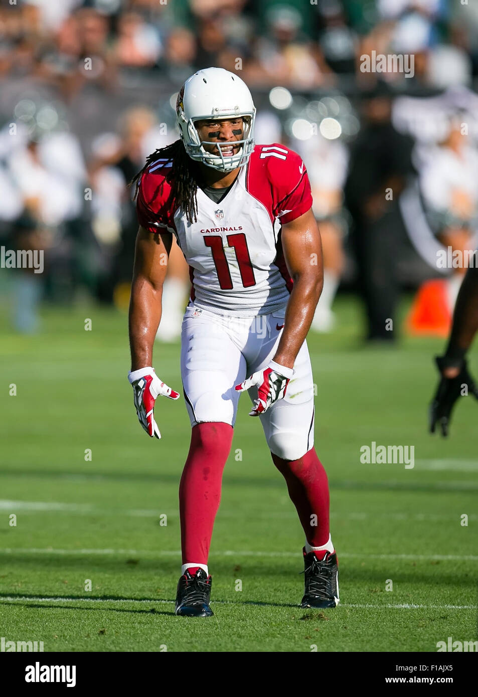 Larry Fitzgerald Wallpaper One Handed Catch