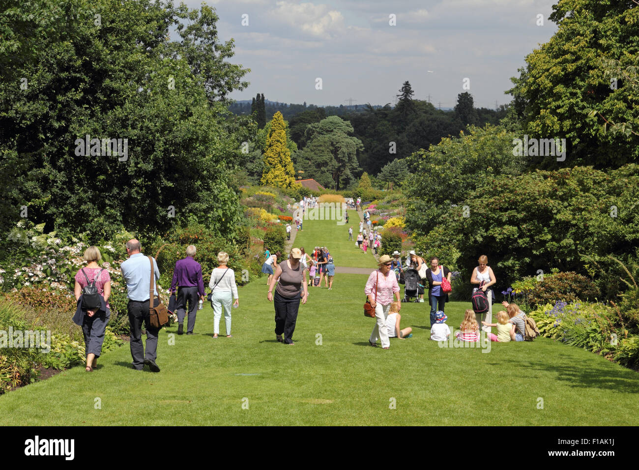 Wisley hi-res stock photography and images - Alamy