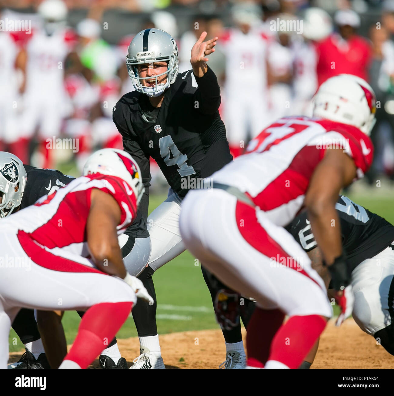 Oakland raiders quarterback derek carr hi-res stock photography and ...