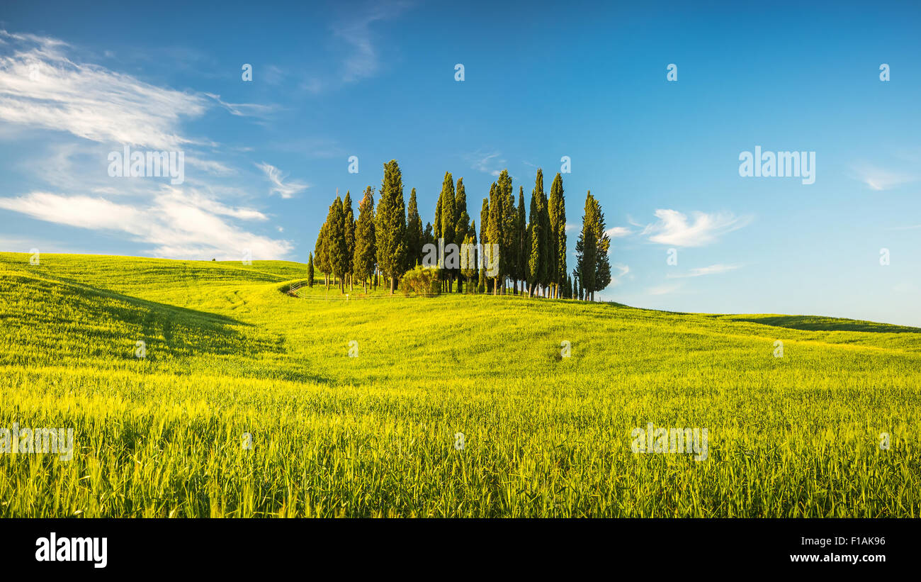 Tuscany at spring Stock Photo - Alamy