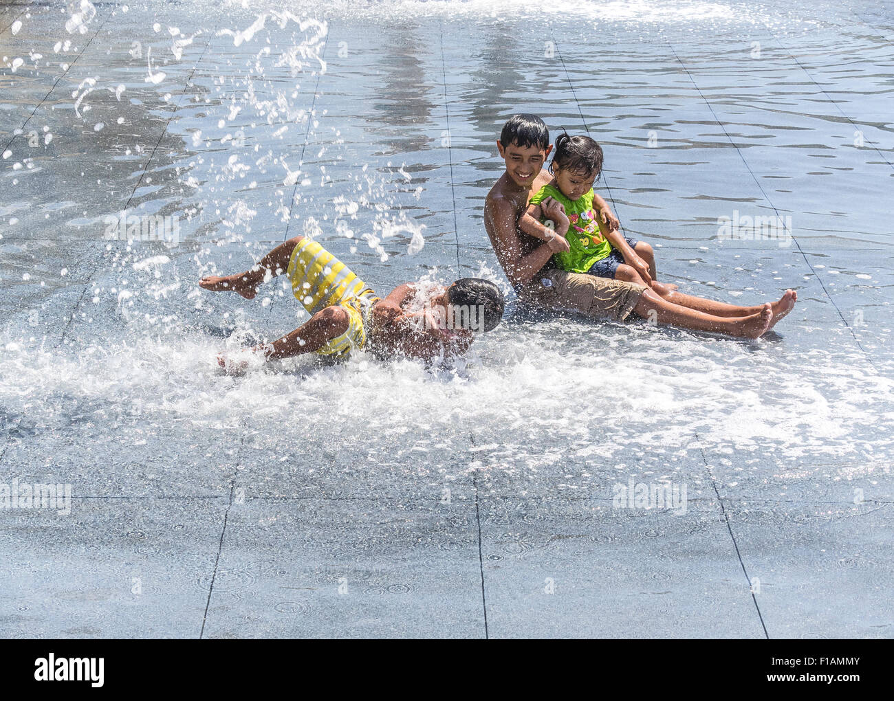 Water Fountain Wet Look