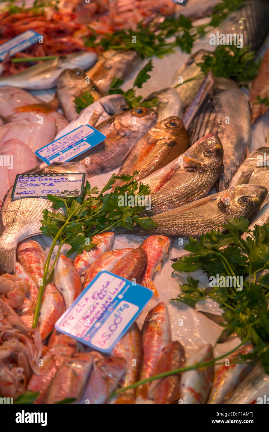 Fishes on the fish market Stock Photo - Alamy