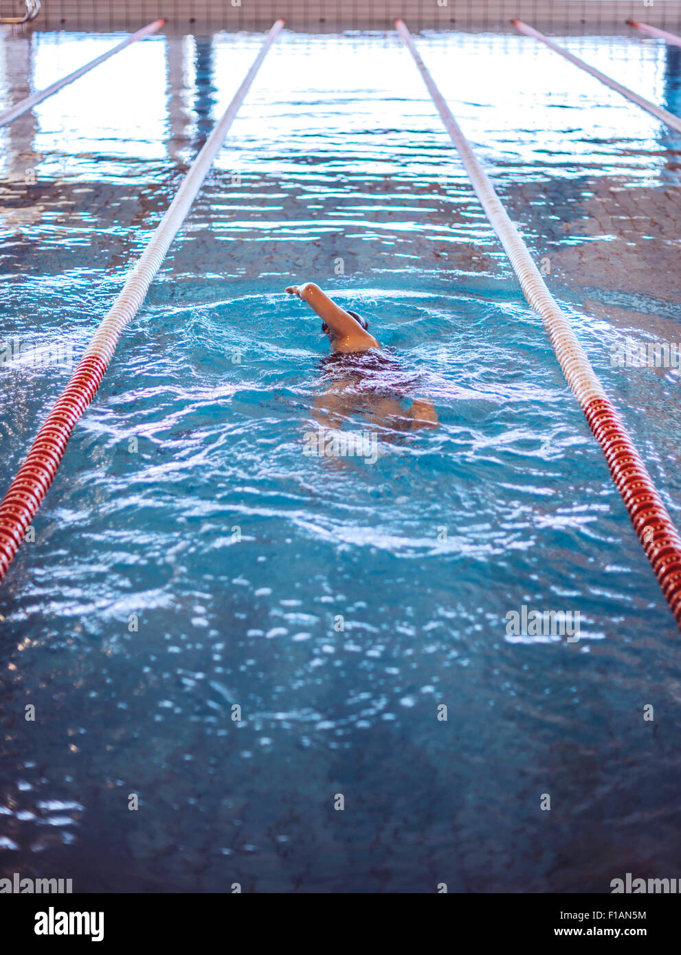 Female swimmer in indoor pool Stock Photo - Alamy