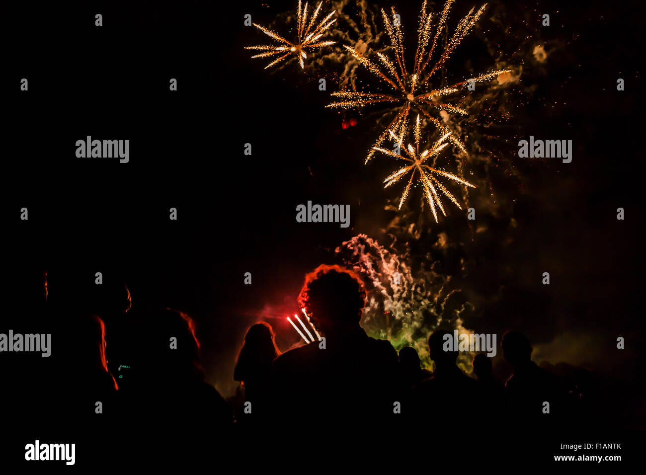 Crowd watching large firework display hi-res stock photography and ...