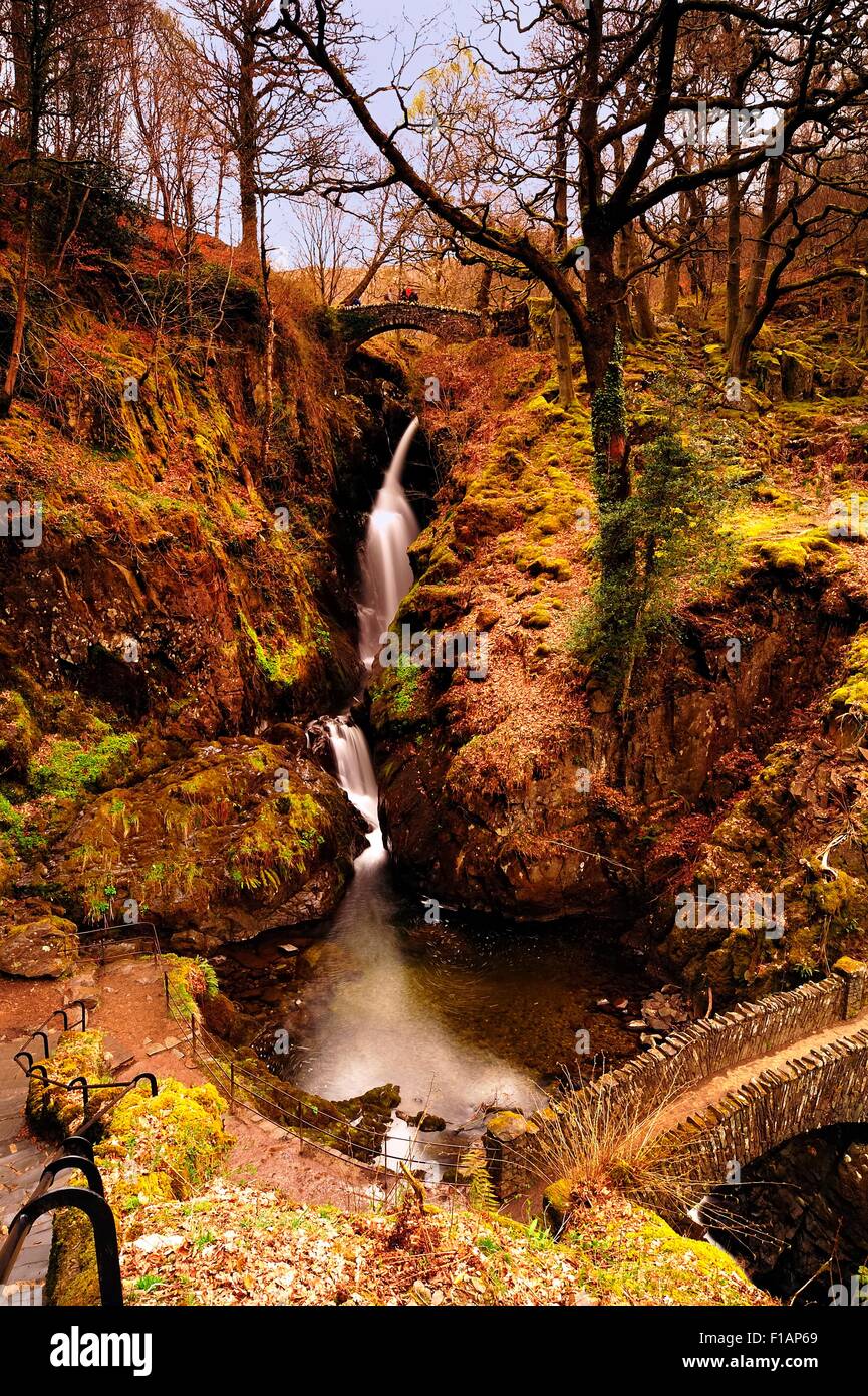 Autumn at Aira Force Stock Photo - Alamy