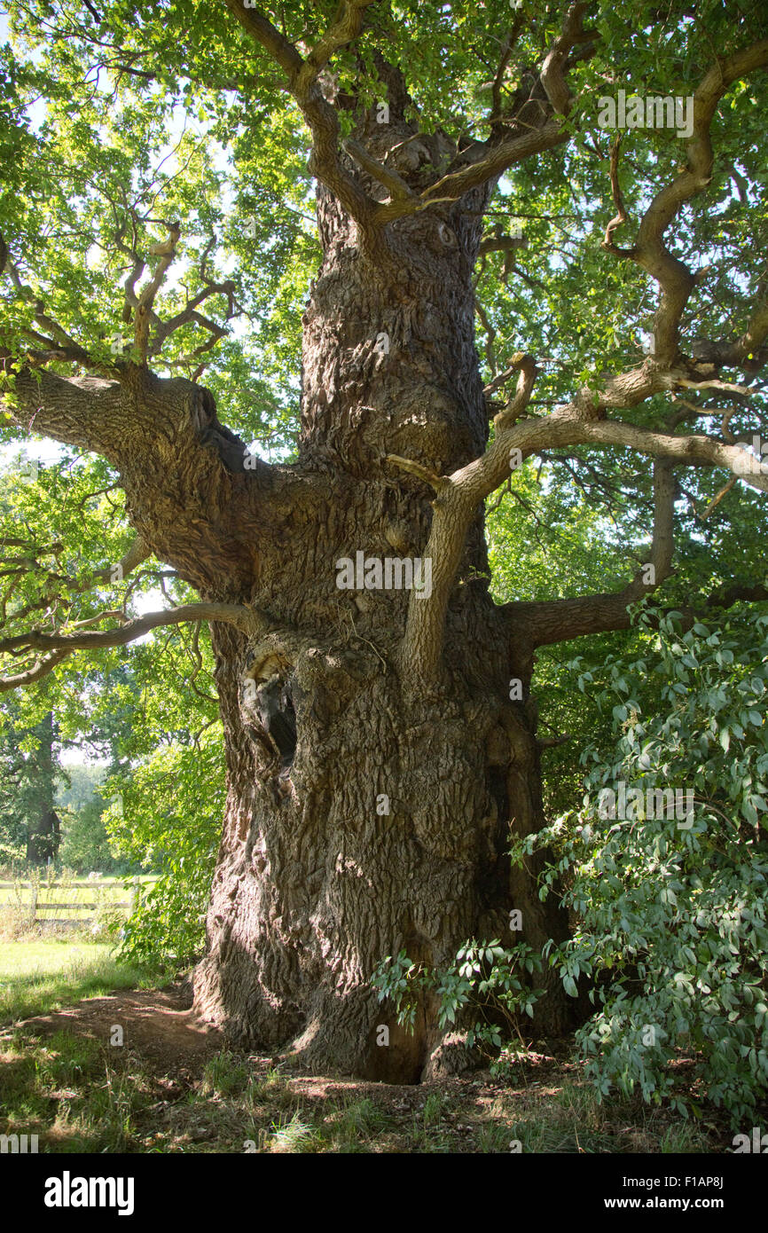 Stonleigh Abbey Hi res Stock Photography And Images Alamy stonleigh-abbey-hi-res-stock-photography-and-images-alamy