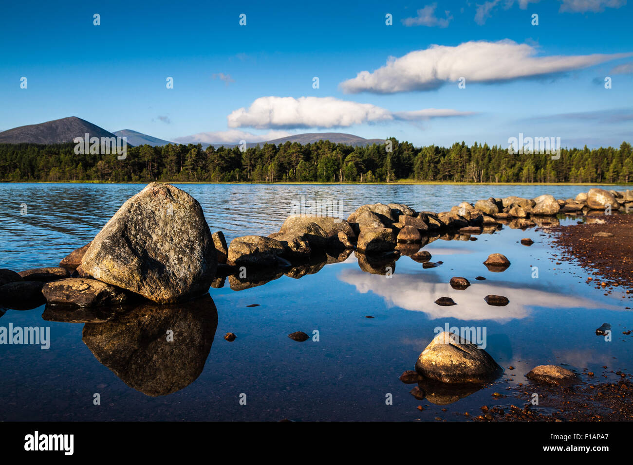 Loch morlich scotland beach hi-res stock photography and images - Alamy