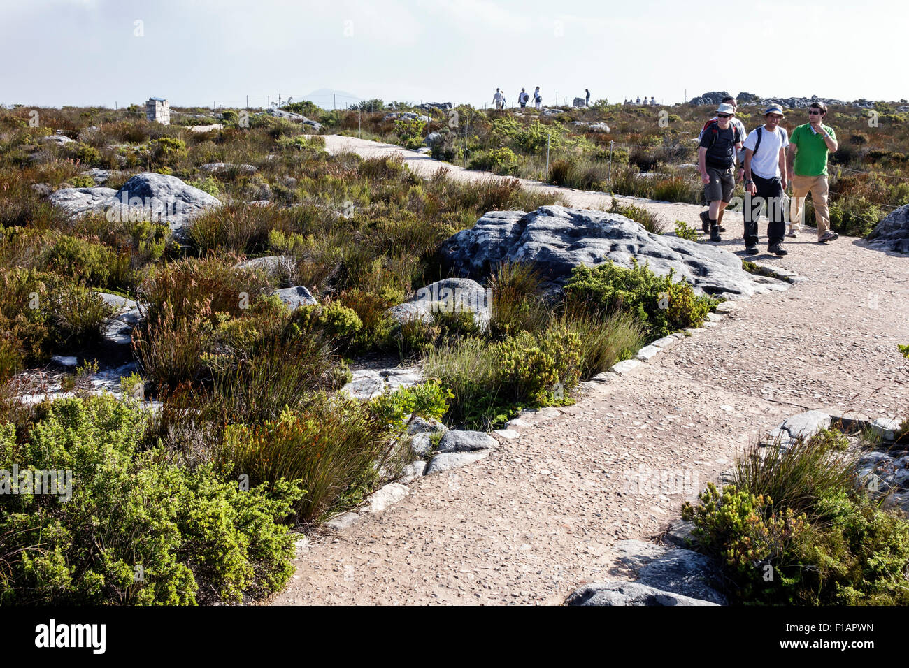 Group hikers taking trail hi-res stock photography and images - Alamy