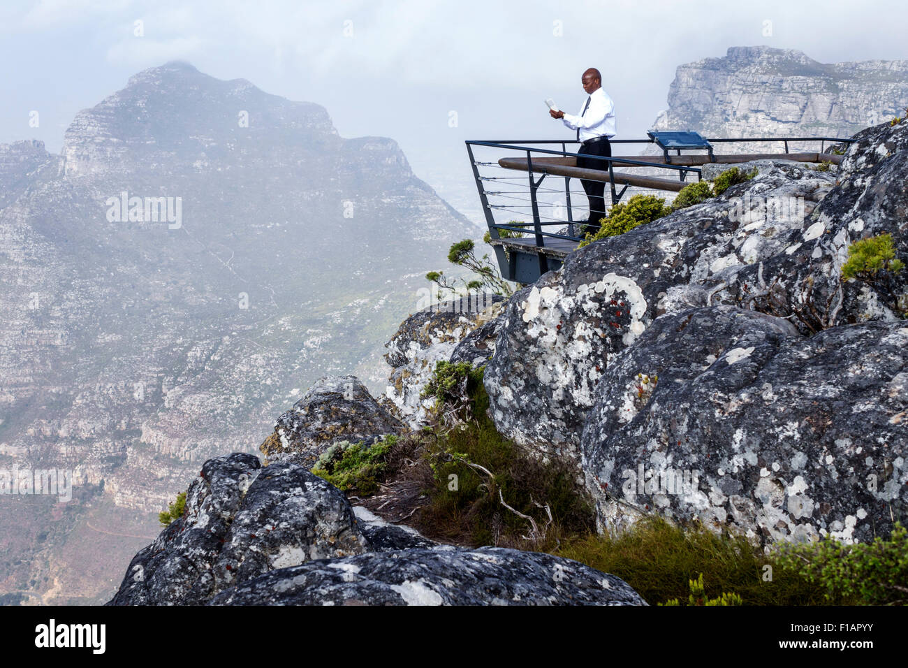 Cape Town South Africa,African,Table Mountain National Park,nature ...