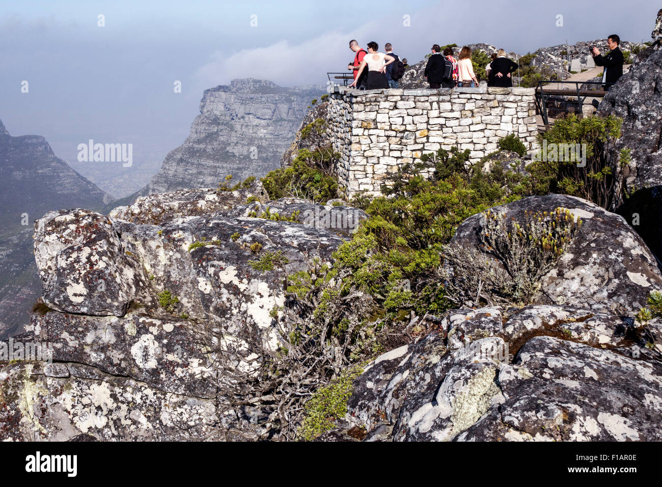 Cape Town South Africa,African,Table Mountain National Park,nature ...