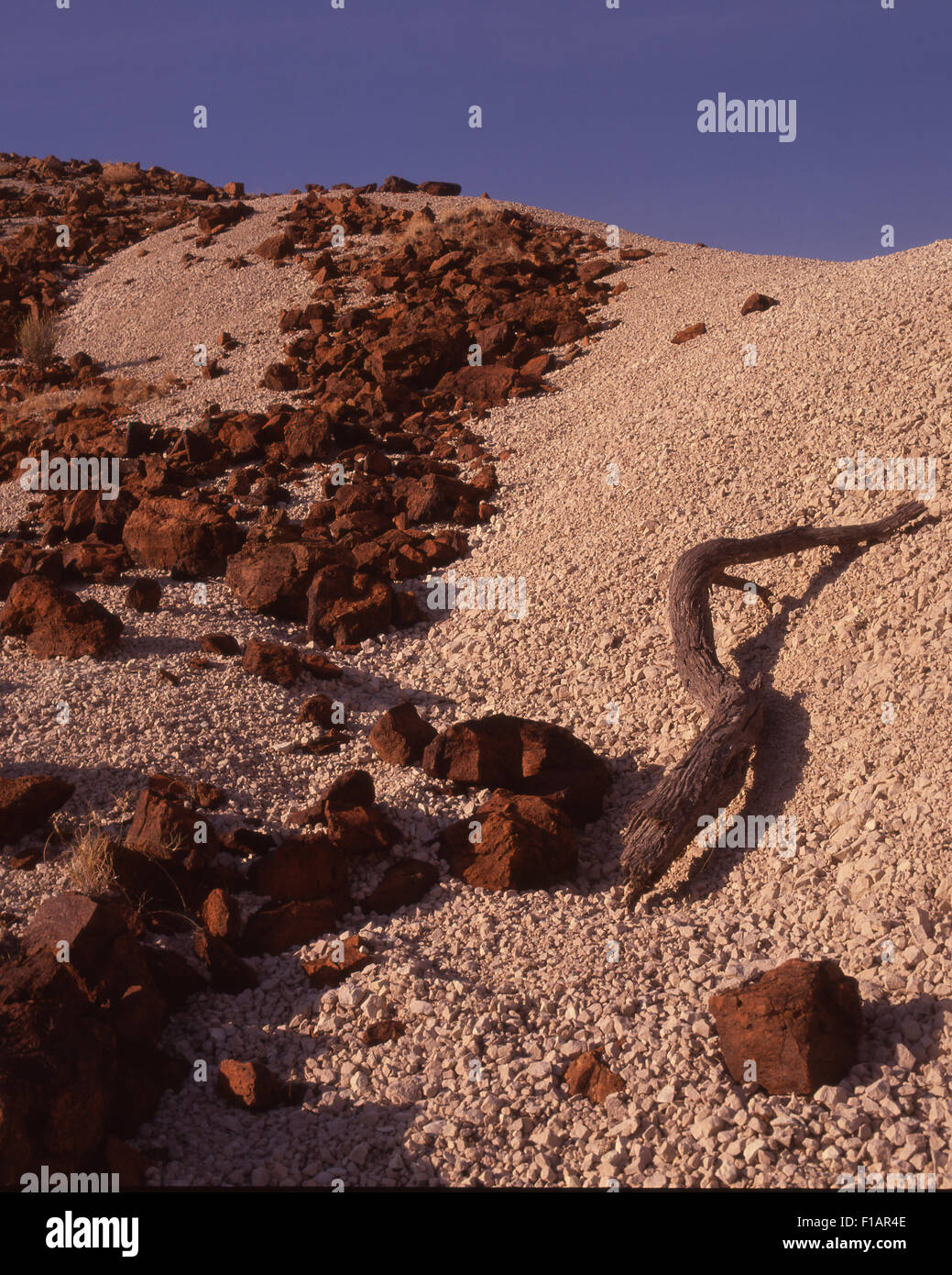 Bend stick hi-res stock photography and images - Alamy