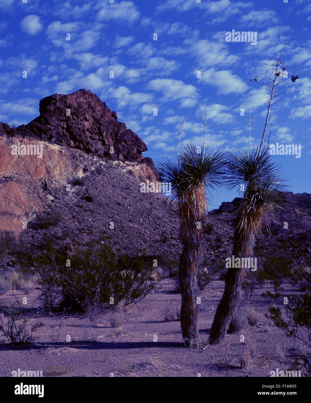 Capital Reef National Park Stock Photo - Alamy