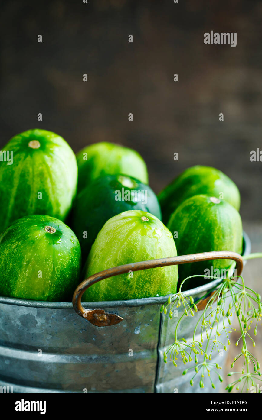 Fresh cucumber food hi-res stock photography and images - Alamy