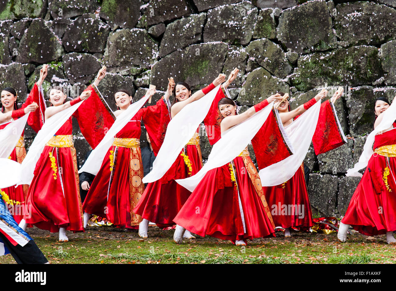 Japanese yosakoi dance team dancing in front of castle stone wall ...