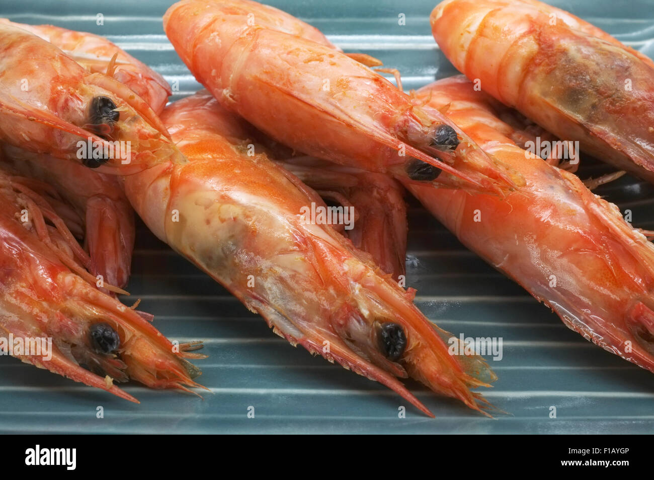 Cooked, boiled, steamed shrimp, prawn Stock Photo - Alamy