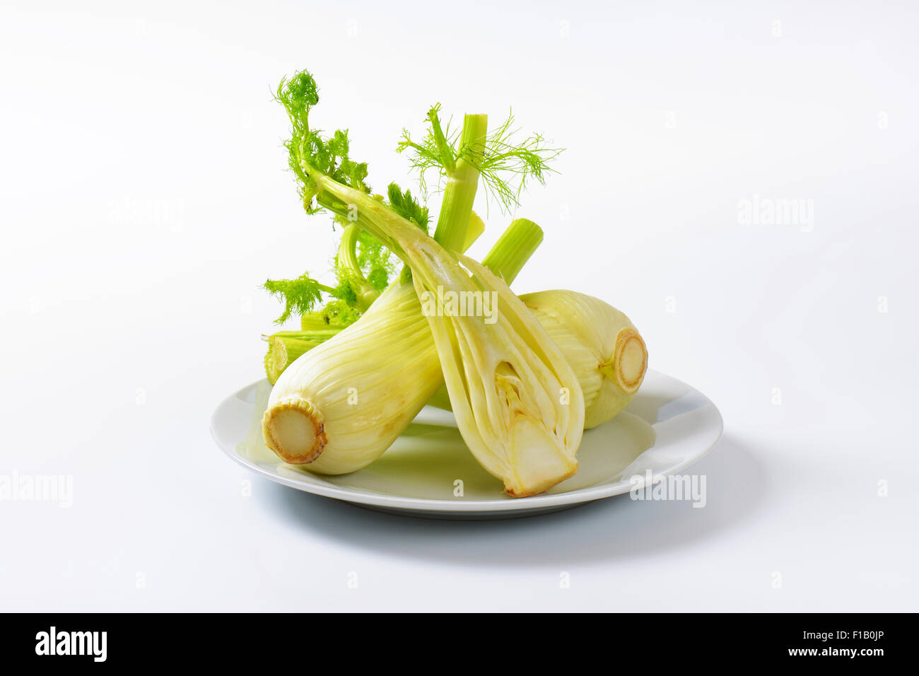 Fennel leaves on plate hi-res stock photography and images - Alamy