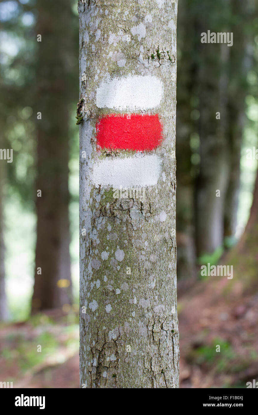 Symbol of tree hi-res stock photography and images - Alamy