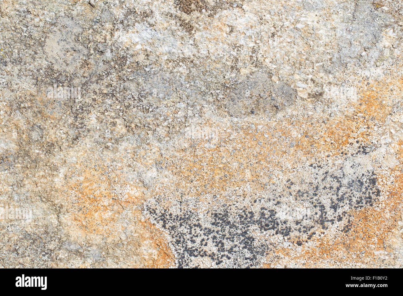 Close up old rock or stone texture, nature background Stock Photo - Alamy