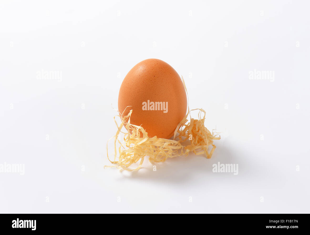 single brown egg on white background Stock Photo - Alamy