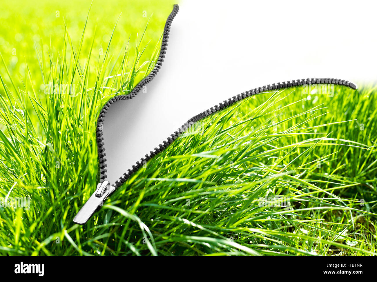 Blank corner hi-res stock photography and images - Alamy