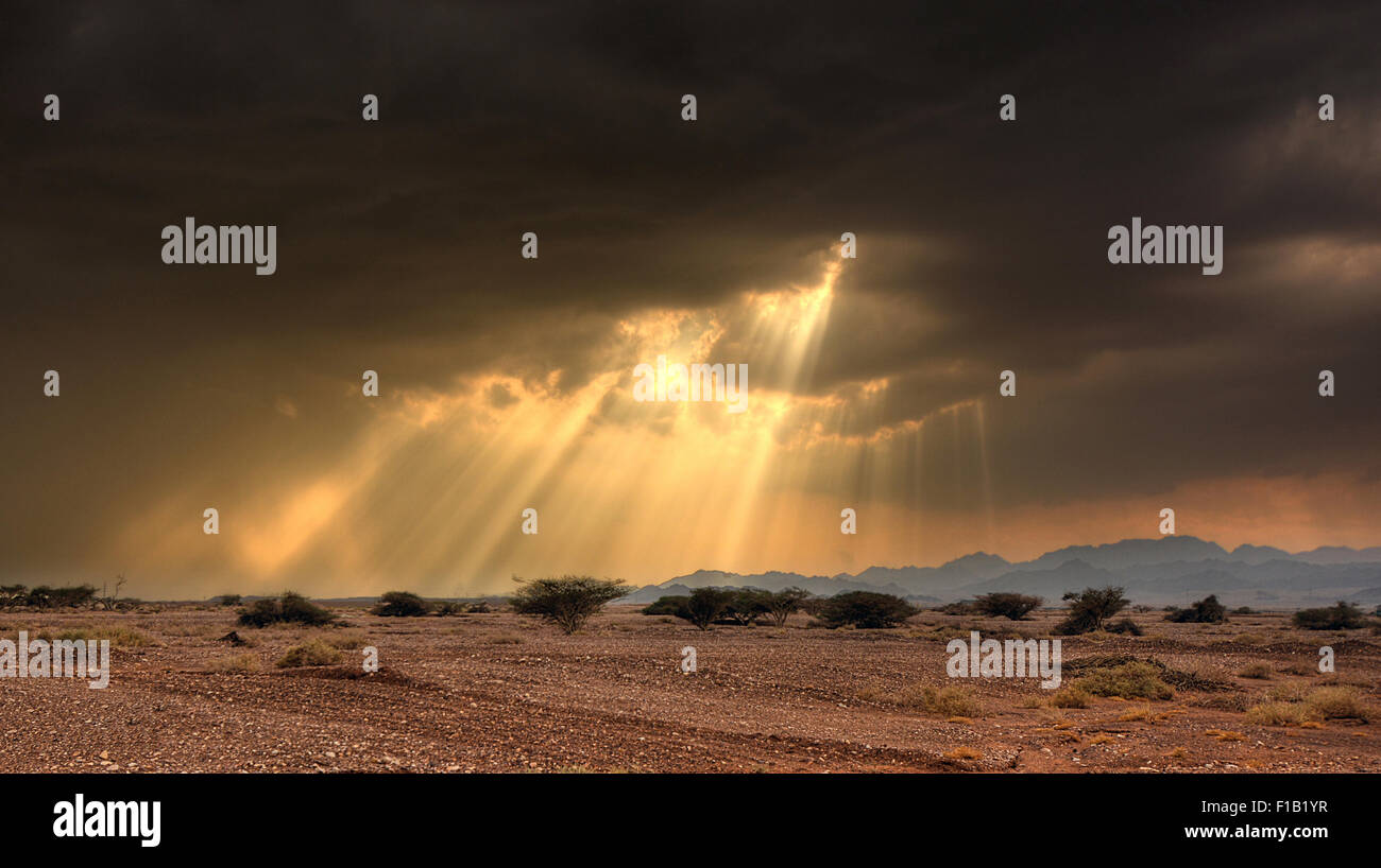 Desert scenery collection Stock Photo - Alamy