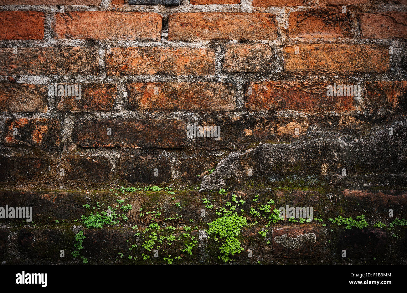 Old grunge brick wall dark border background Stock Photo - Alamy