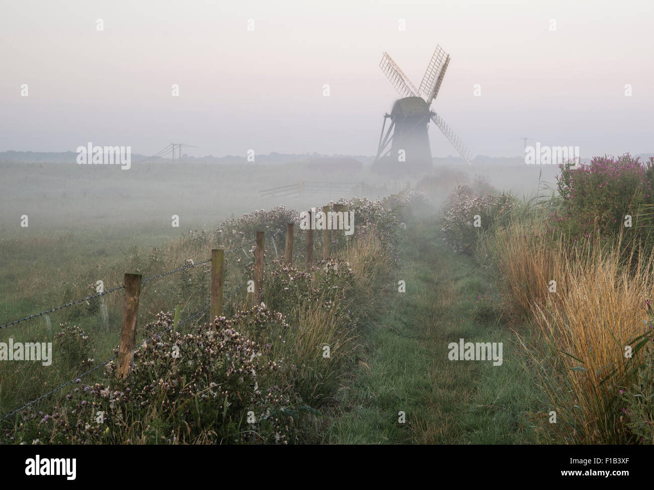 Old windmill in foggy English countryside landscape Stock Photo - Alamy