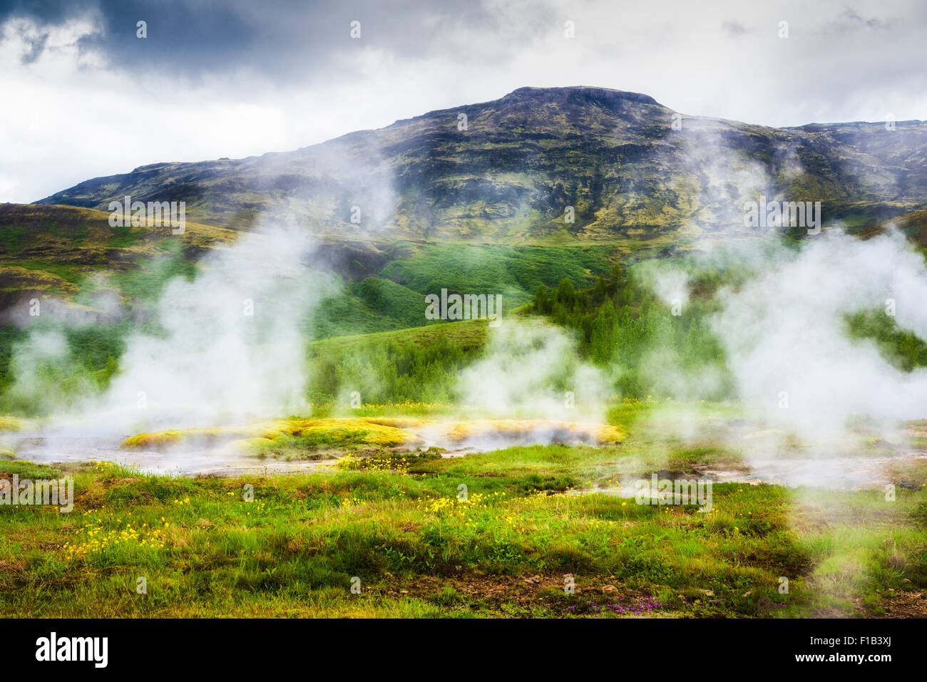 Landscape with steaming hot springs in Haukadalur geothermal area ...