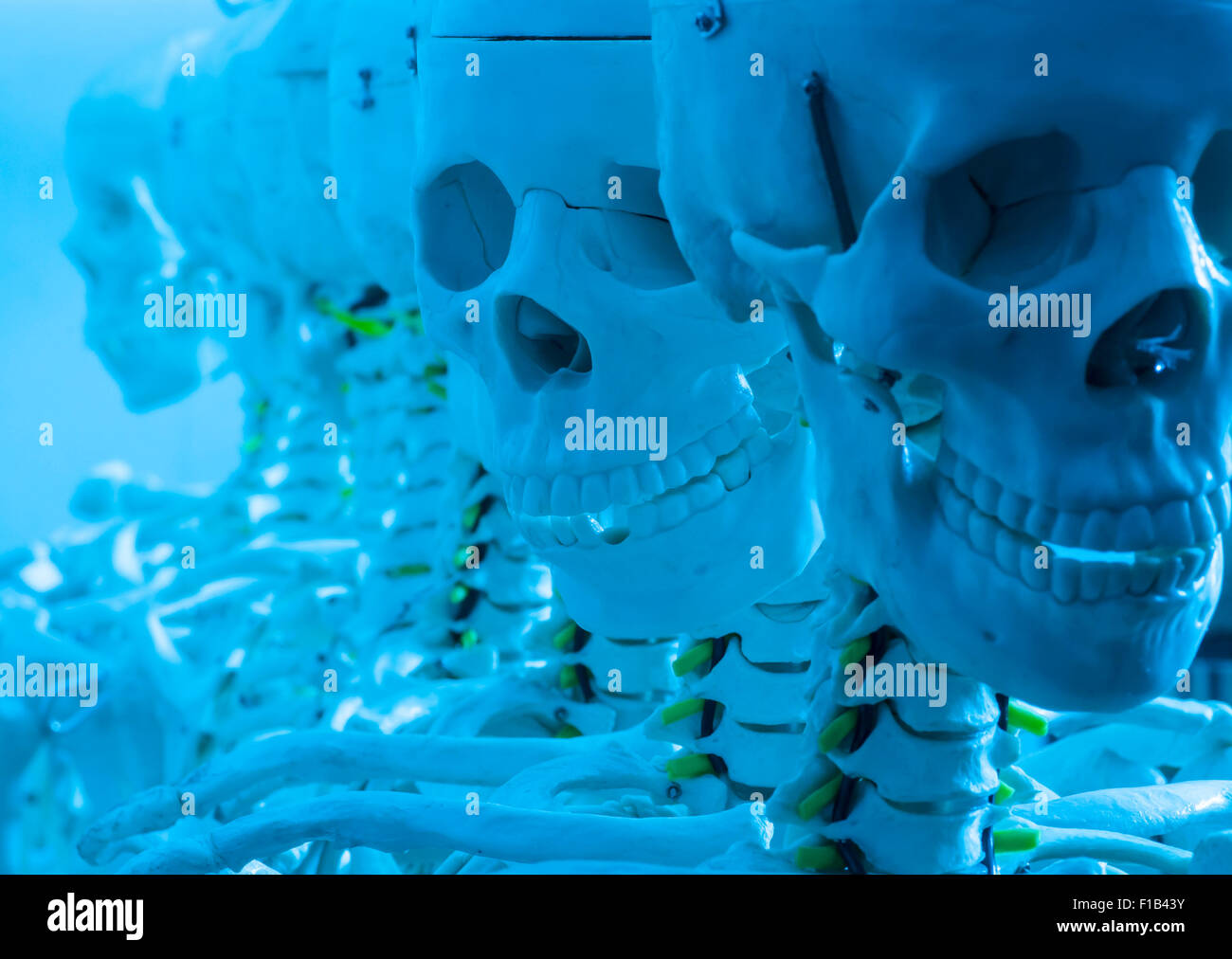 Deep eye sockets hi-res stock photography and images - Alamy