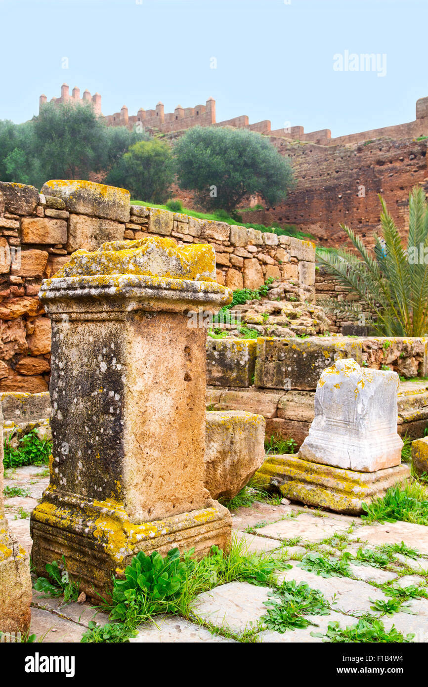 chellah in morocco africa the old roman deteriorated monument and site ...
