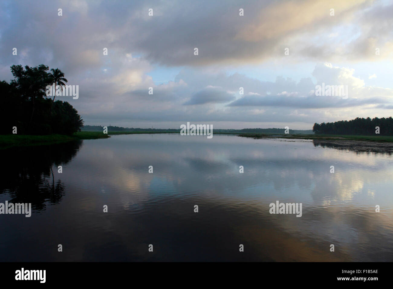 early morning view at biyyam kayal backwaters, kerala Stock Photo - Alamy