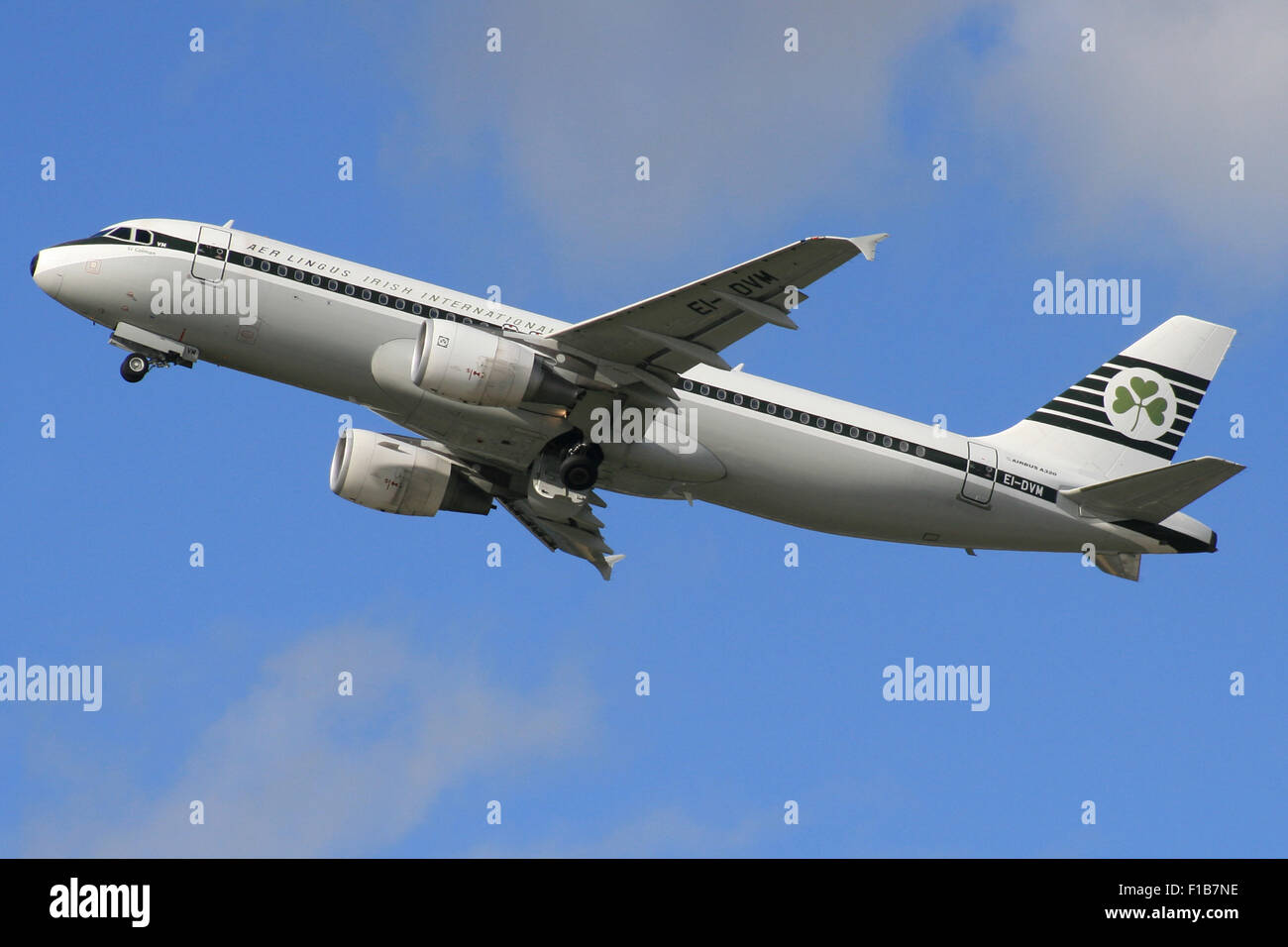 AER LINGUS RETRO SCHEME A320 YEAR 2015 Stock Photo - Alamy