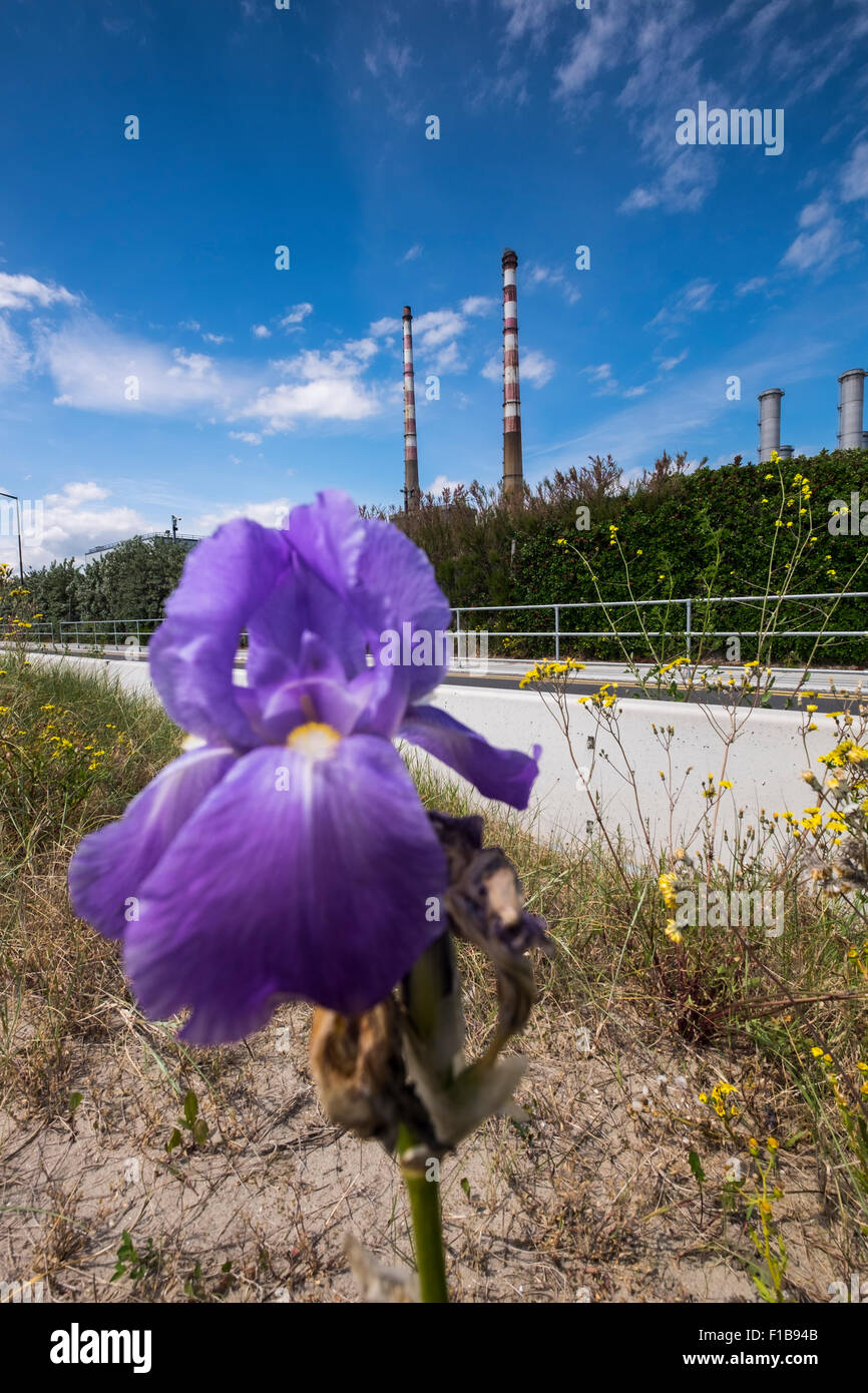 The twin chimney stacks of the Poolbeg electricity generating station ...