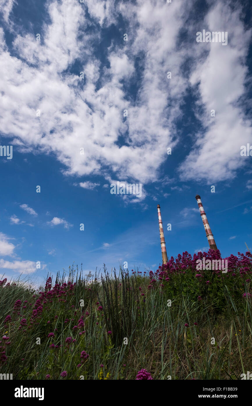 The twin chimney stacks of the Poolbeg electricity generating station ...