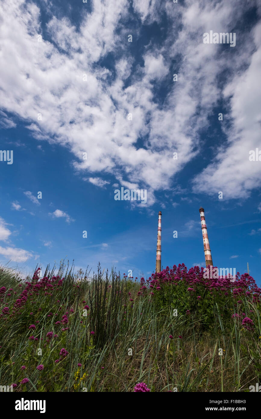 The twin chimney stacks of the Poolbeg electricity generating station ...