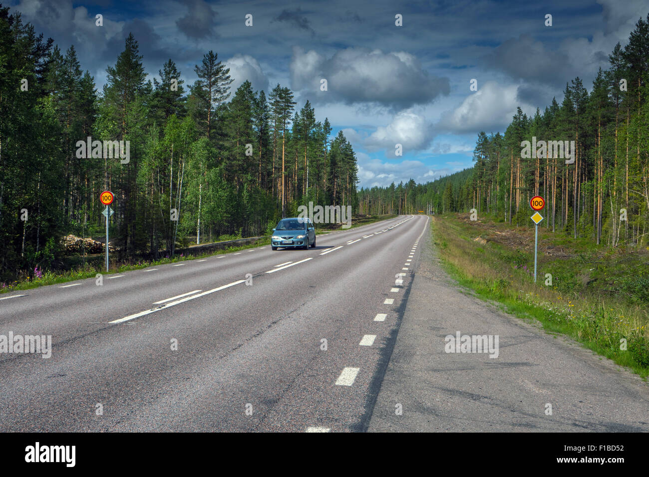 Road with white line disappearing into the distance through forest ...