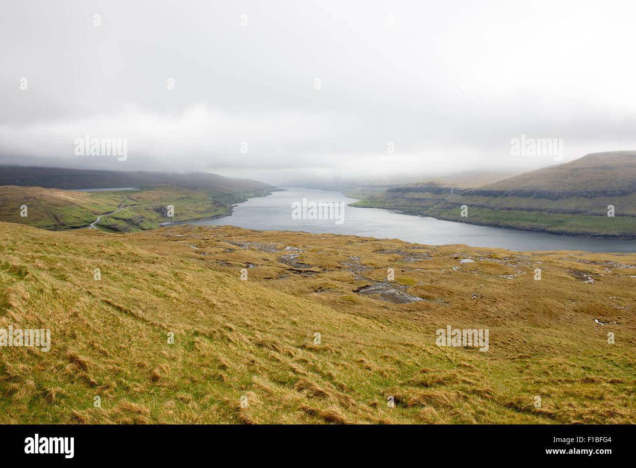 Typical landscape on the Faroe Islands, with green grass and rocks and ...