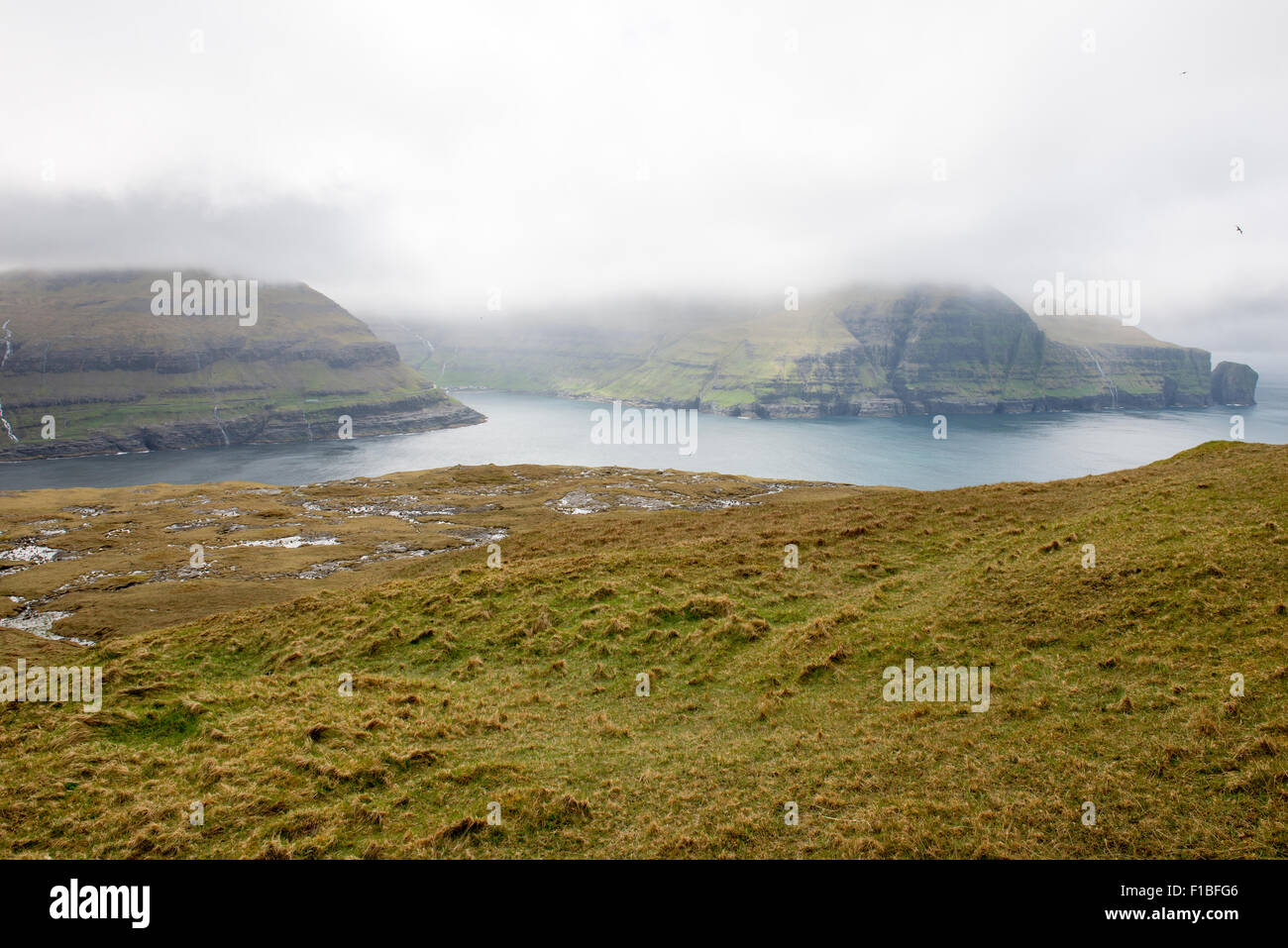 Typical landscape on the Faroe Islands, with green grass and rocks ...