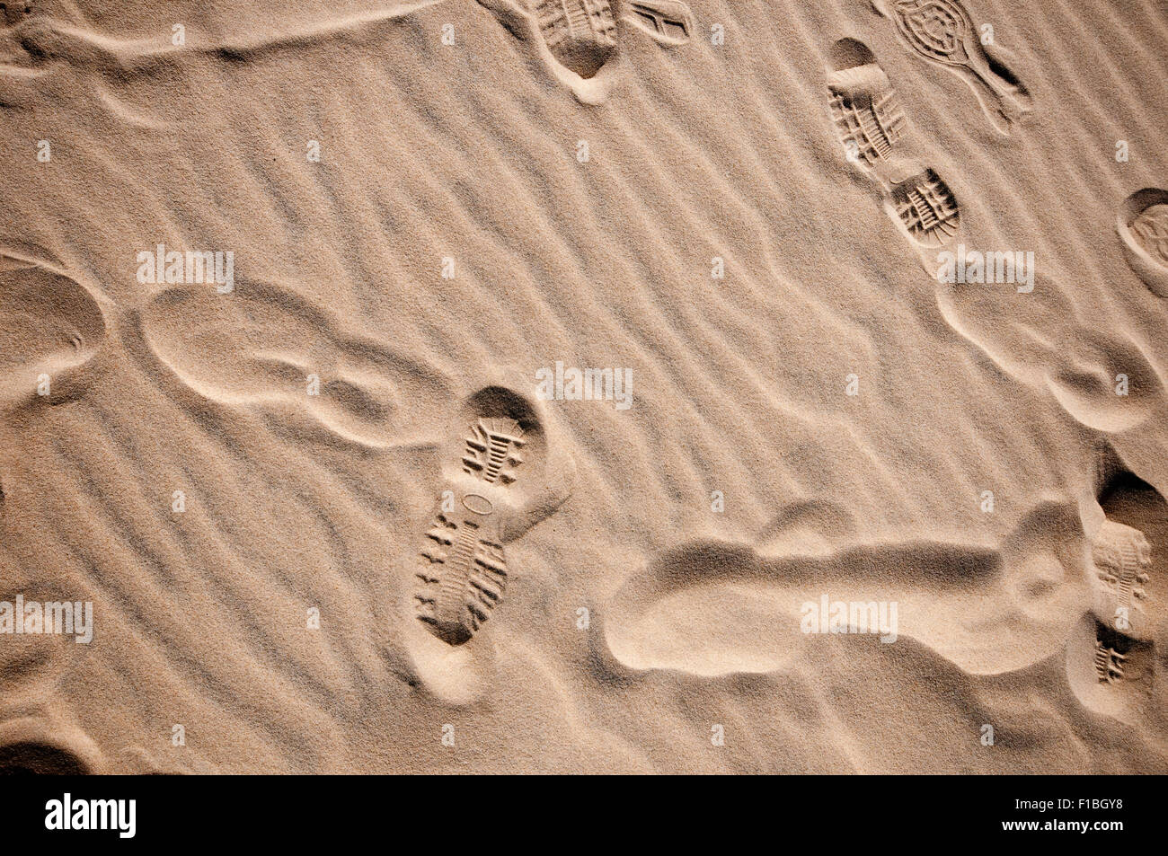 Footprints in the sand, some fresh and some wind blown among small sand ...