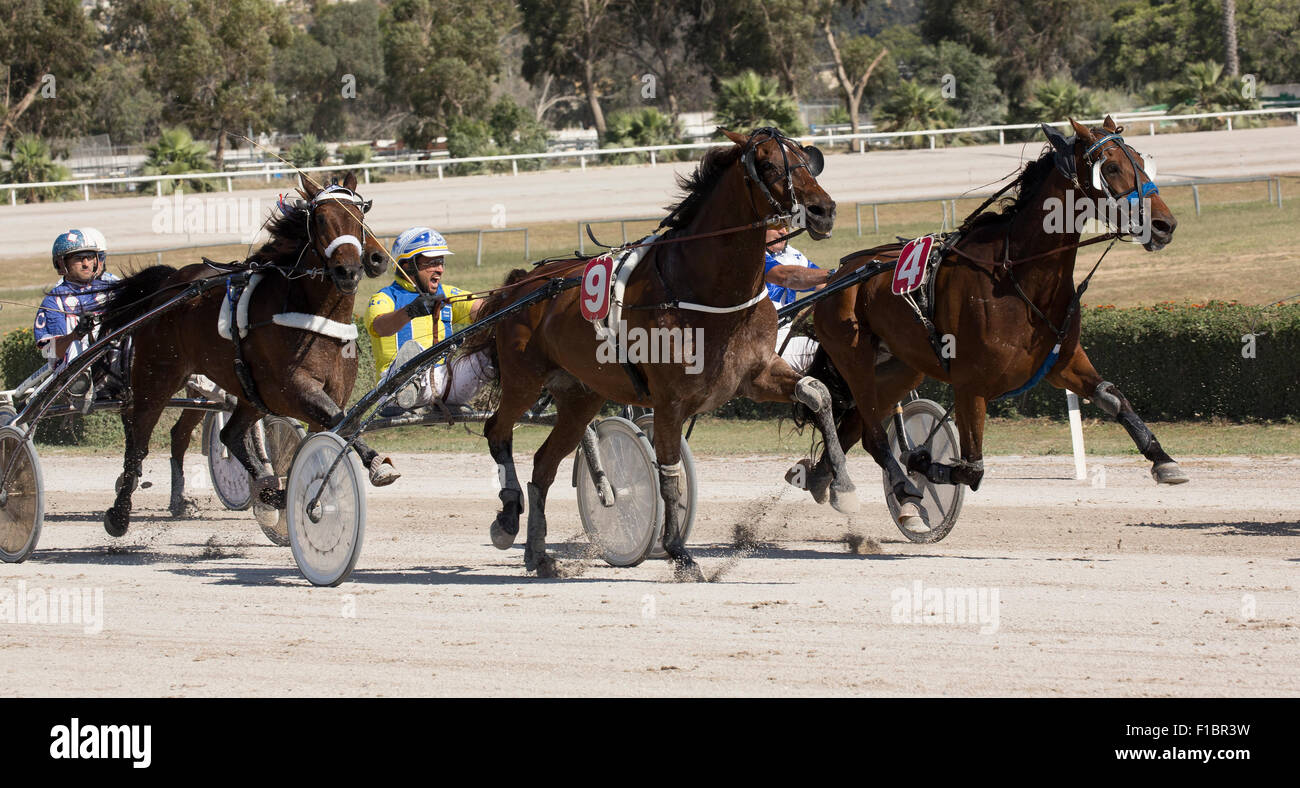 Trotting Track Stock Photos & Trotting Track Stock Images - Alamy