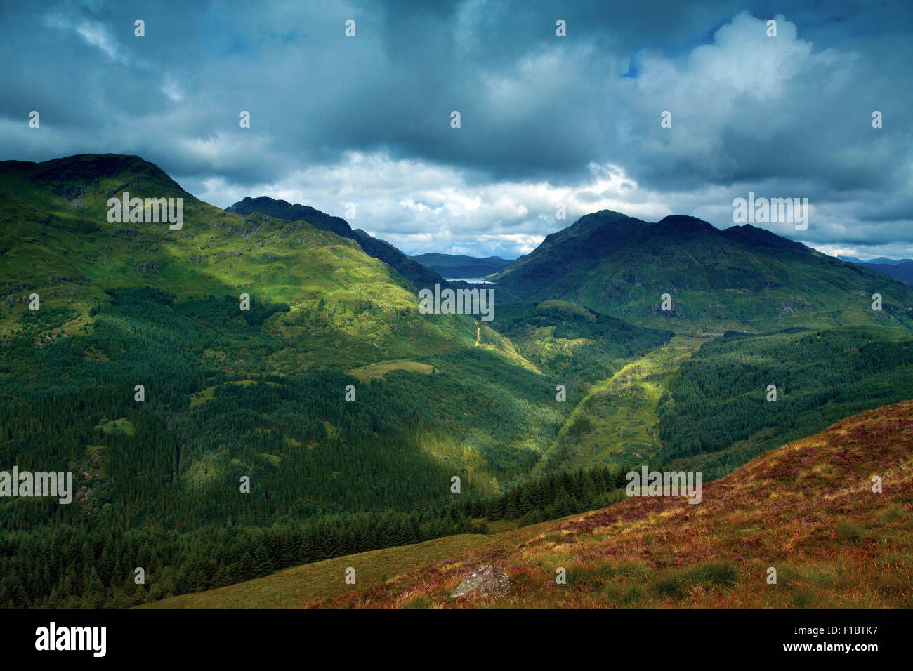 Loch sloy hi-res stock photography and images - Alamy